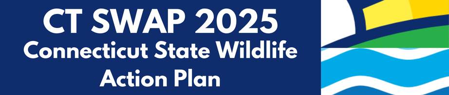 CT Deep Conservation Action Tracker